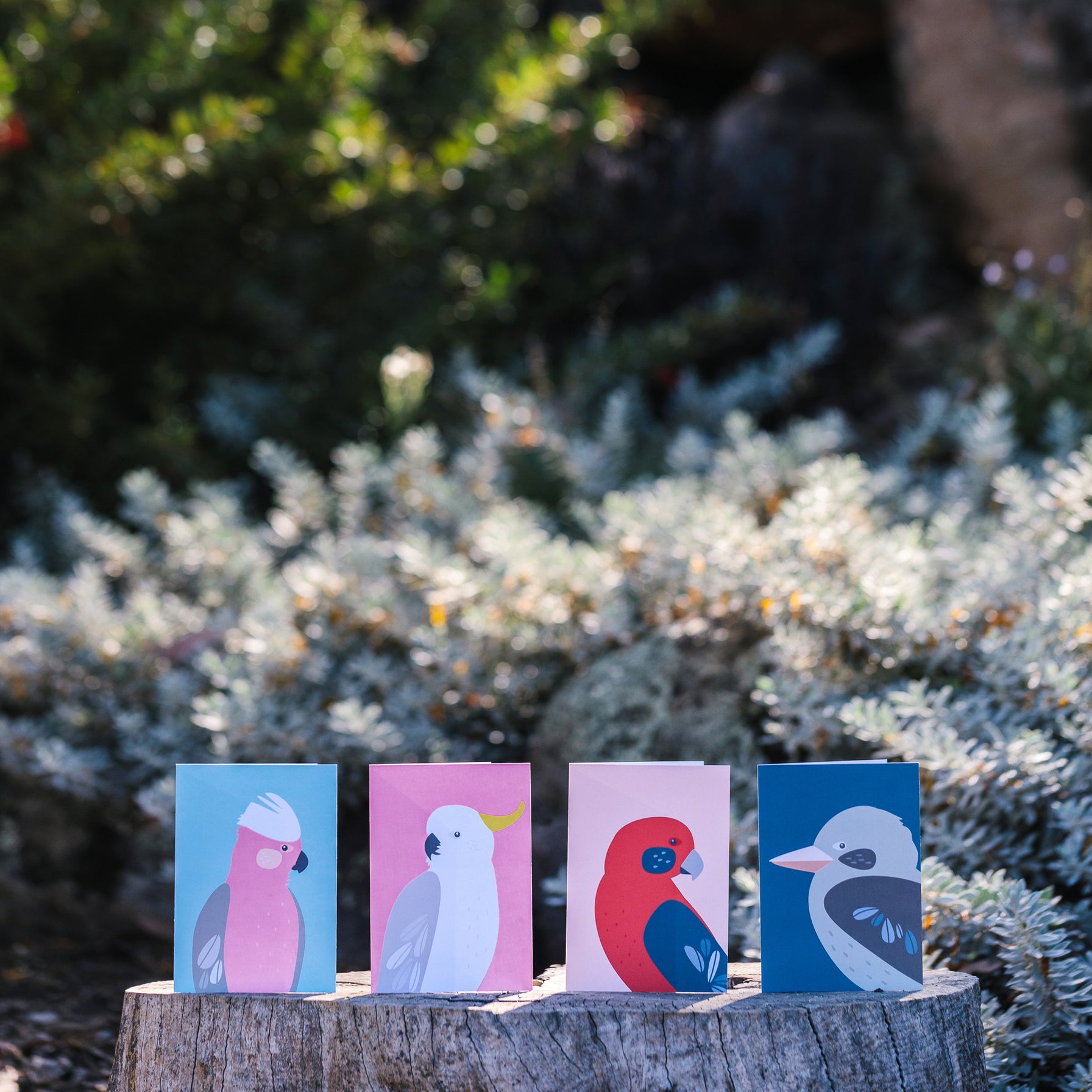 Greeting Card Set - Native Australian Birds 12 Pack – LOVE FROM SHOP